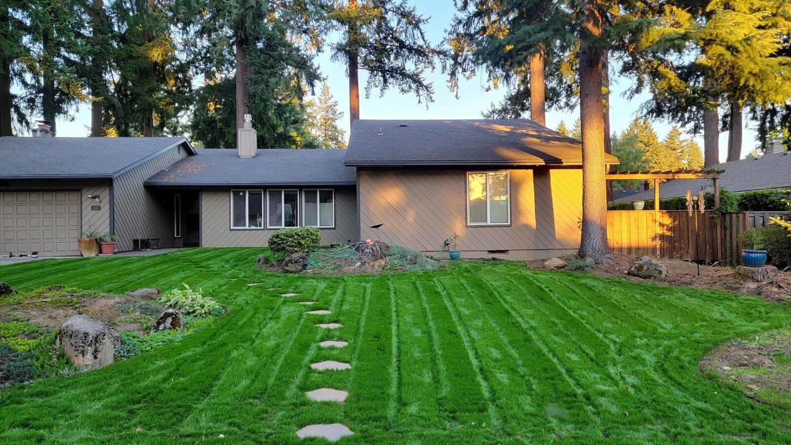Lucky Duck Lawn Care | THE Pet & Eco Friendly Lawn Care